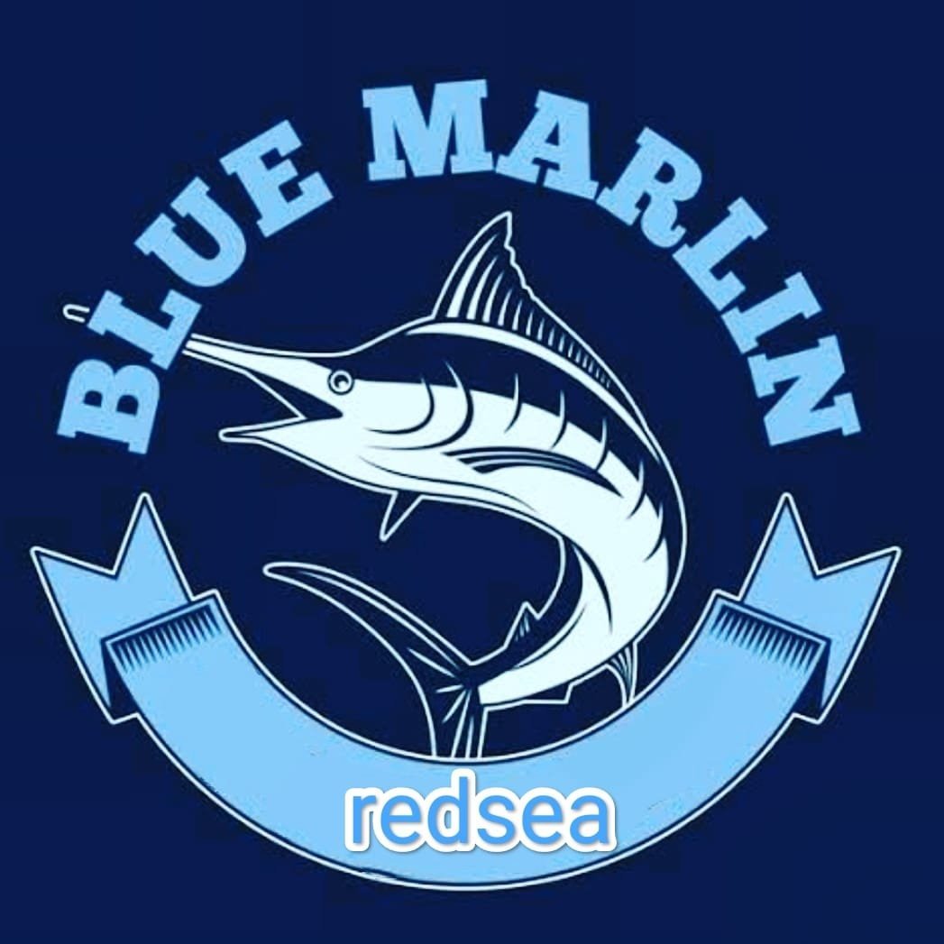 Contact us: Find out more about our diving school - Blue Marlin